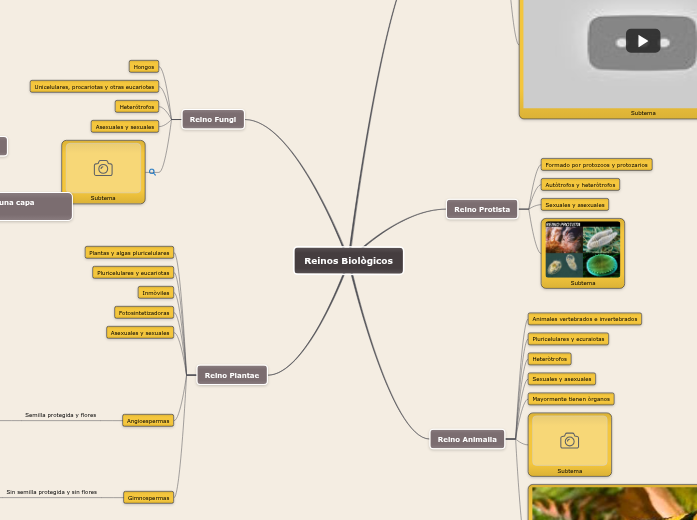 Reinos biològicos - Mind Map